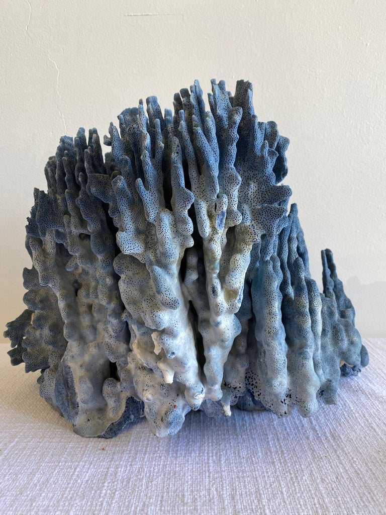 Large Natural Blue Coral at 1stDibs