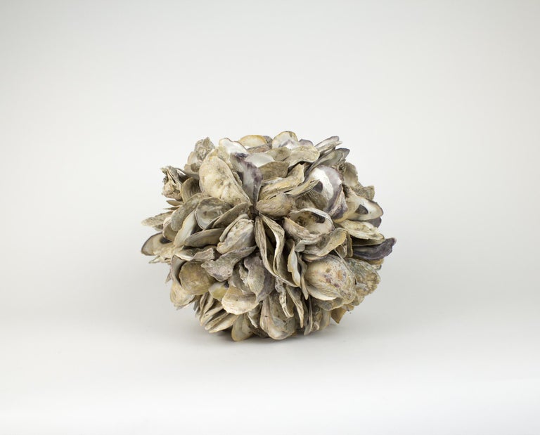 Large Natural Oyster Shell Sphere Sculpture For Sale at 1stDibs