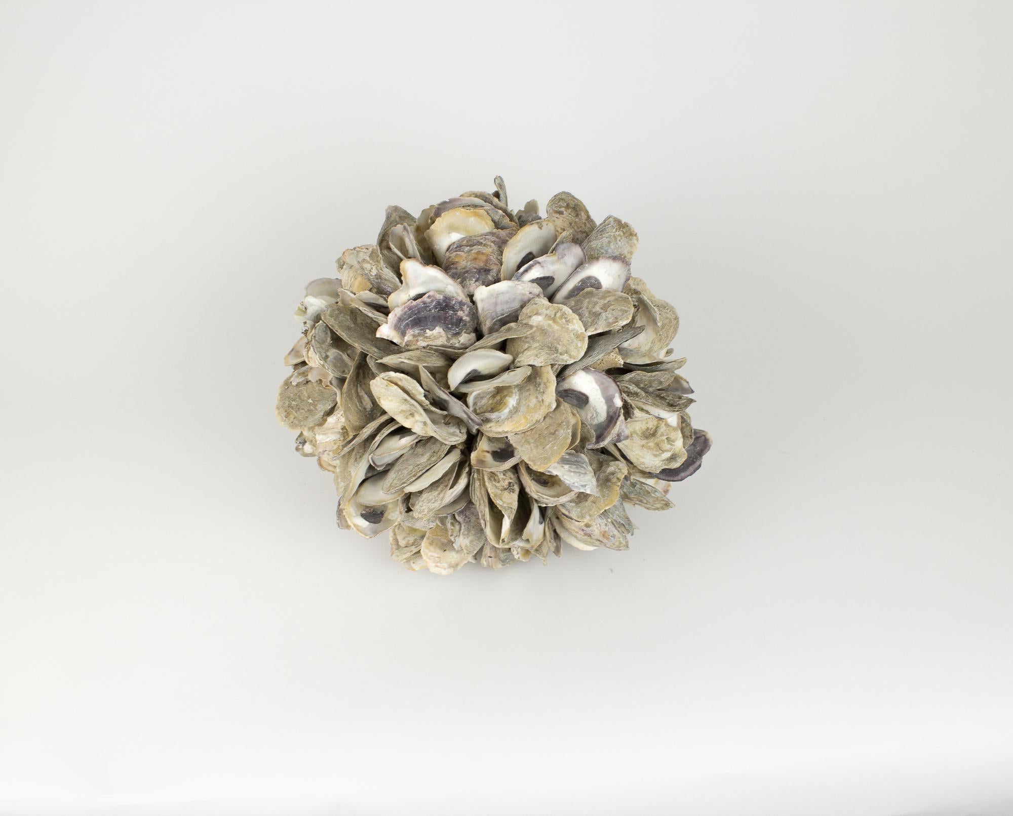 Large Natural Oyster Shell Sphere Sculpture at 1stDibs
