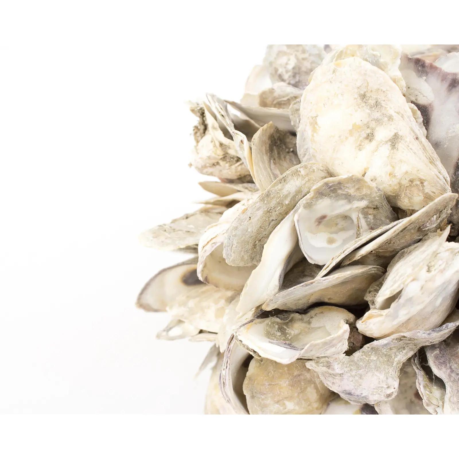 Large Natural Oyster Shell Sphere Sculpture at 1stDibs