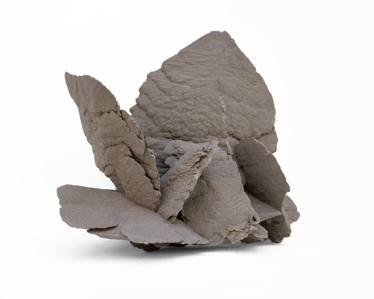 Sculptural Elephant Ear Selenite For Sale at 1stDibs