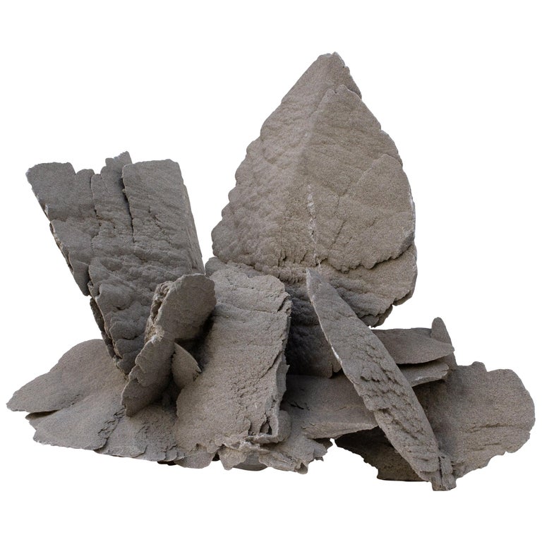 Sculptural Elephant Ear Selenite For Sale at 1stDibs