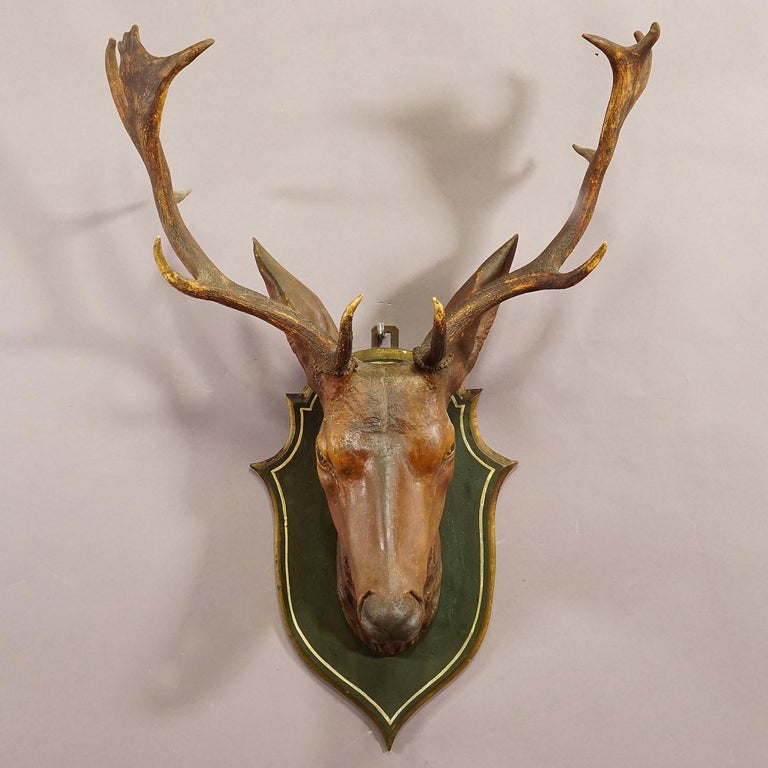 Large Naturalistic Black Forest Carved Fallow Deer Head, circa 1910 For ...