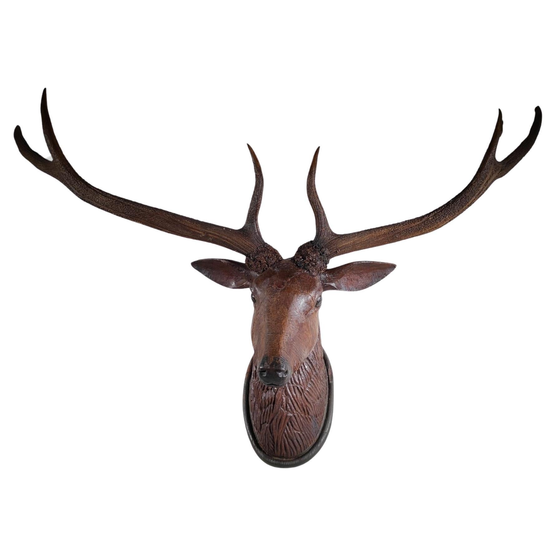 Large Old Deer Head In Carved Wood From The Black Forest For Sale at ...
