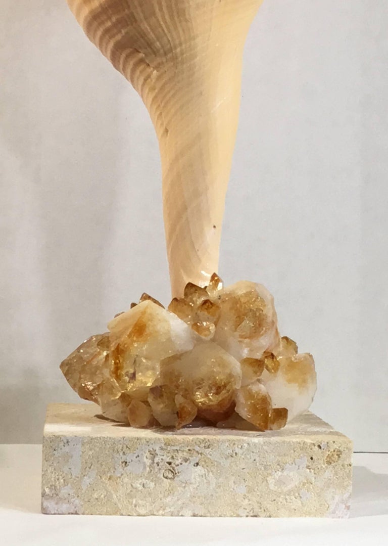 Large One of a Kind Sea Shell and Citrine Crystal For Sale at 1stDibs
