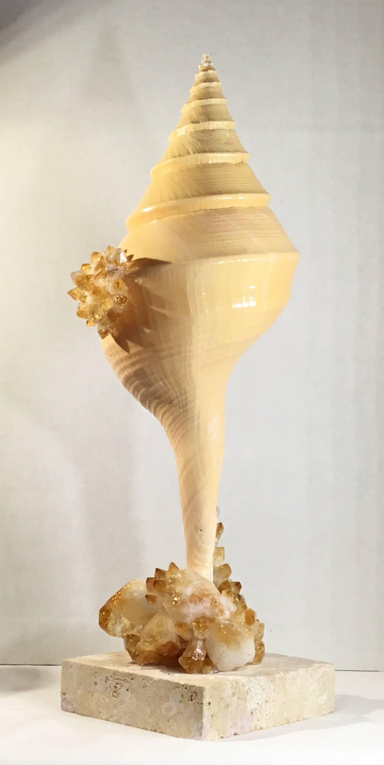 Large One of a Kind Sea Shell and Citrine Crystal For Sale at 1stDibs