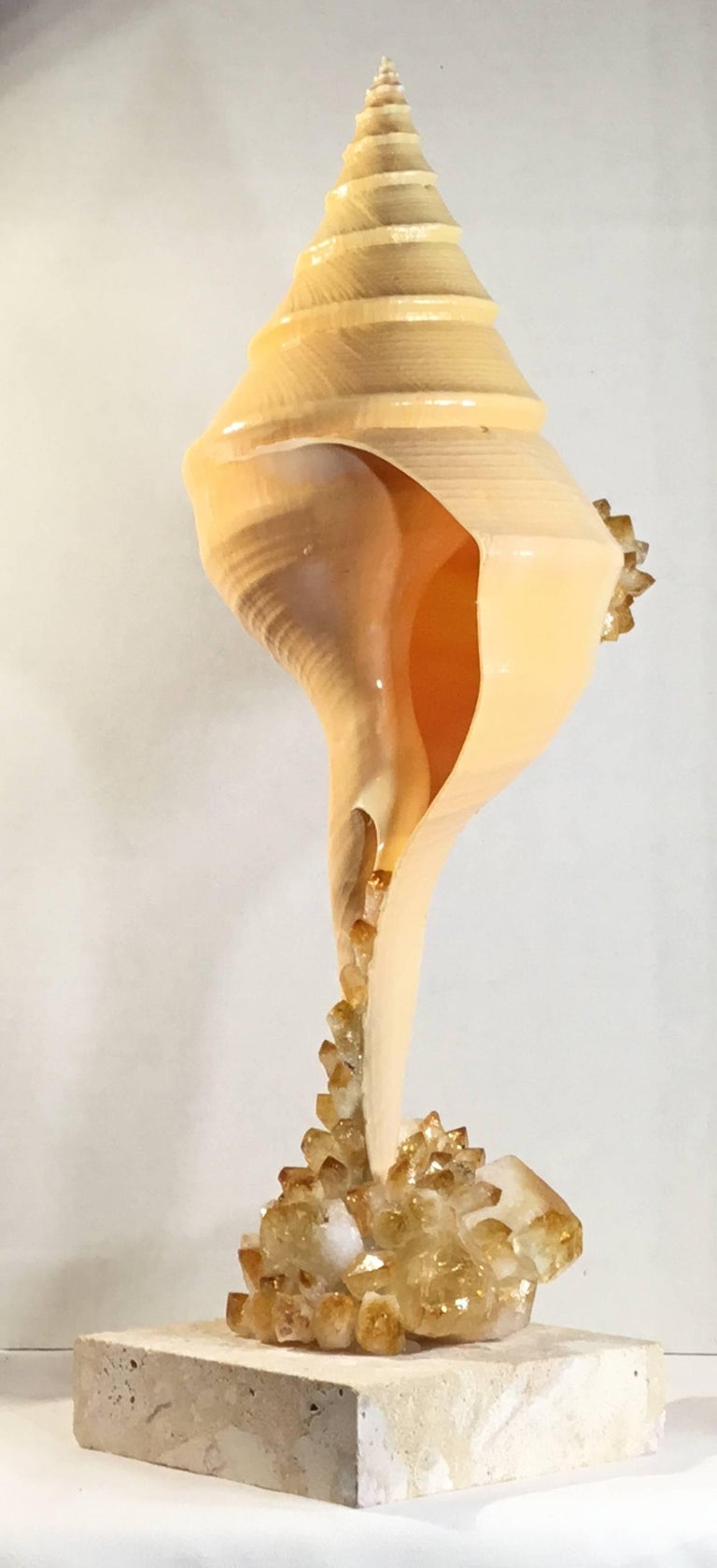 Large One of a Kind Sea Shell and Citrine Crystal For Sale at 1stDibs