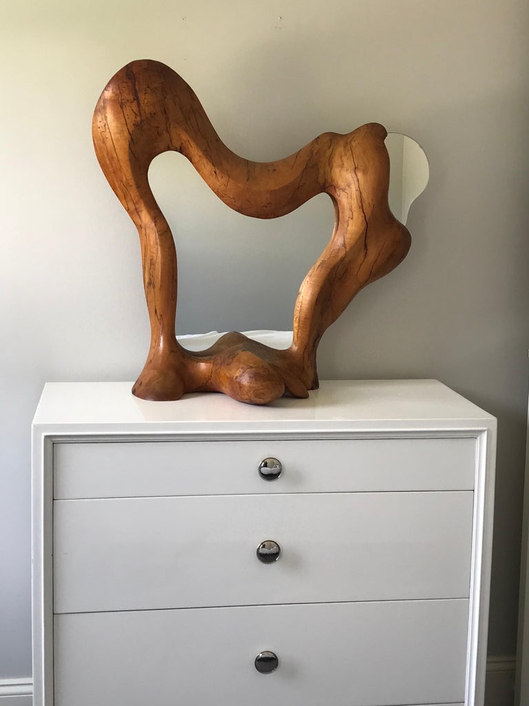 Large Organic Free-form, Biomorphic, Studio Craft Mirror at 1stDibs