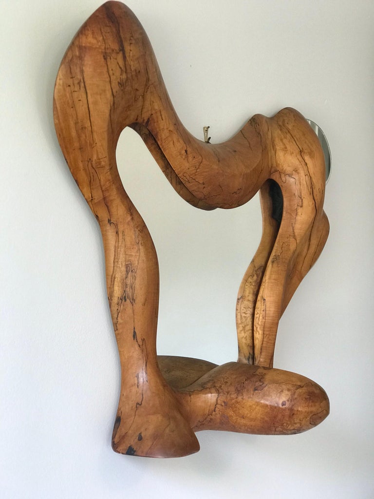 Large Organic Free-form, Biomorphic, Studio Craft Mirror at 1stDibs