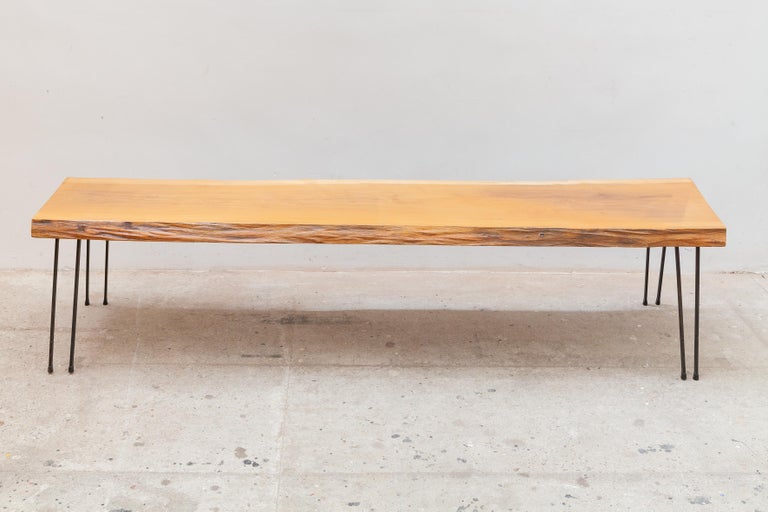Large Organic Walnut Tree Trunk Coffee Table, 1960s For Sale at 1stDibs