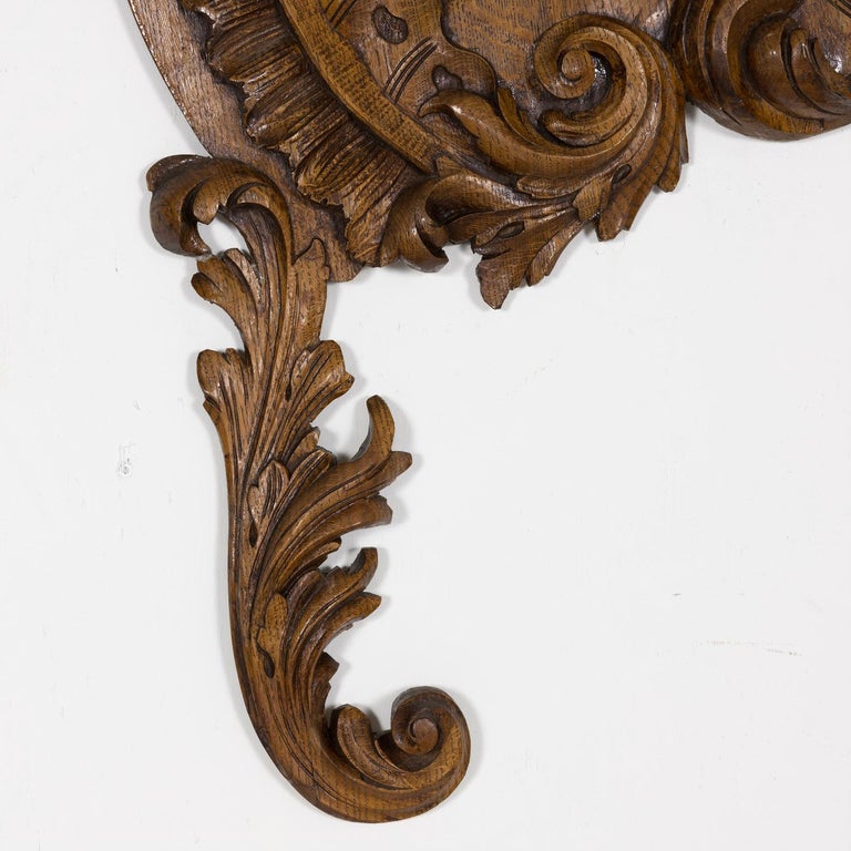 Large Pair of 19th Century French Oak Hunting Trophy Plaques of Dead ...