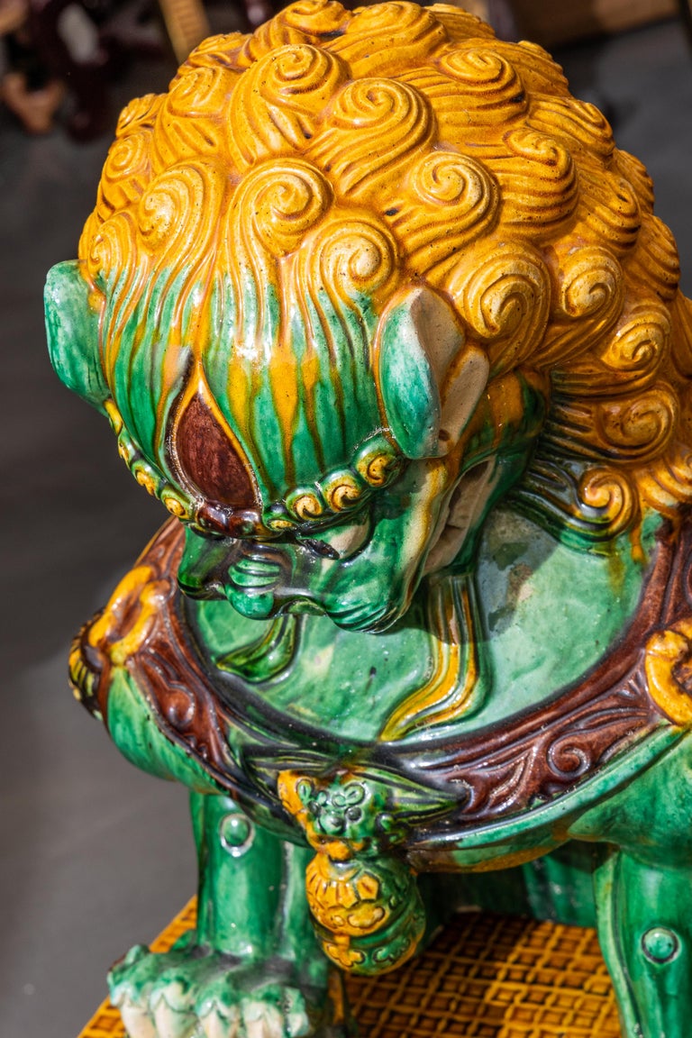 Large Pair of Chinese Foo Dogs on Plinths For Sale at 1stDibs