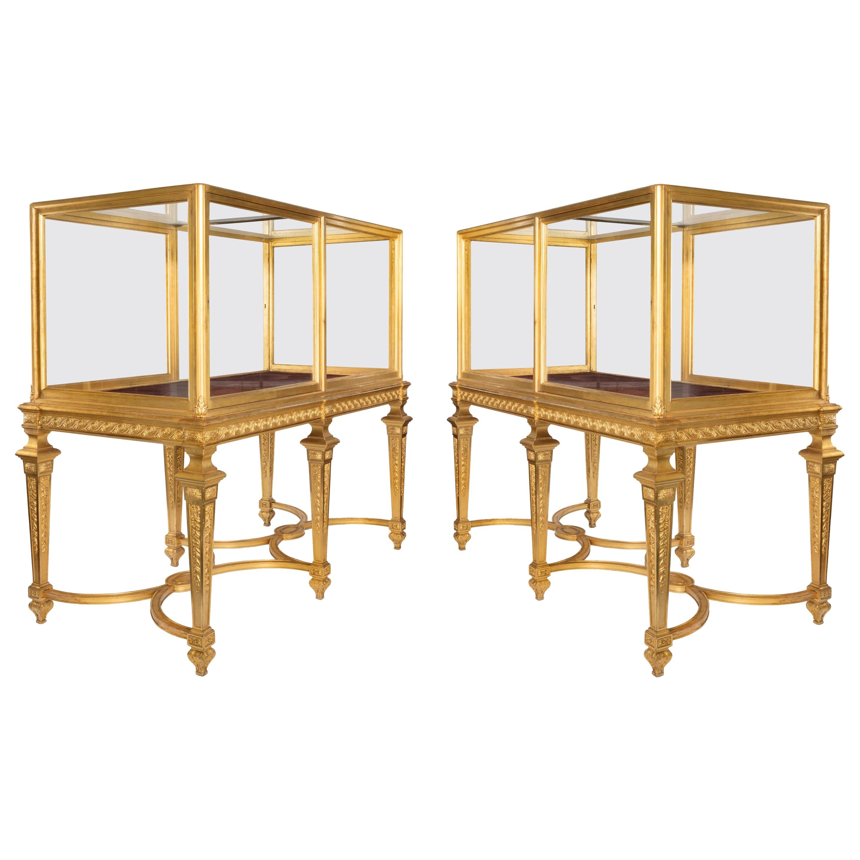 A pair of specimen Museum Cabinets at 1stDibs