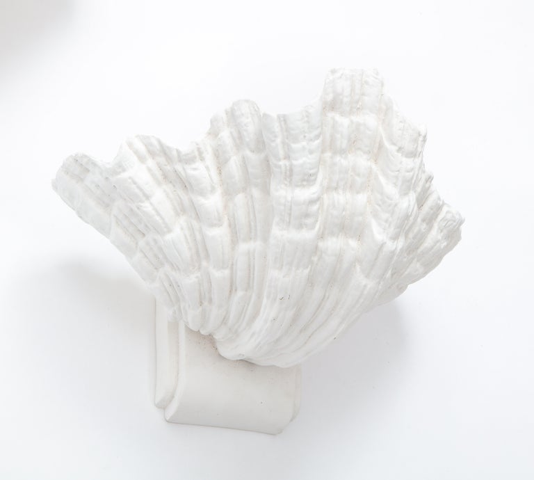 Large Plaster Shell Sconces after Serge Roche, France, 1940s For Sale ...