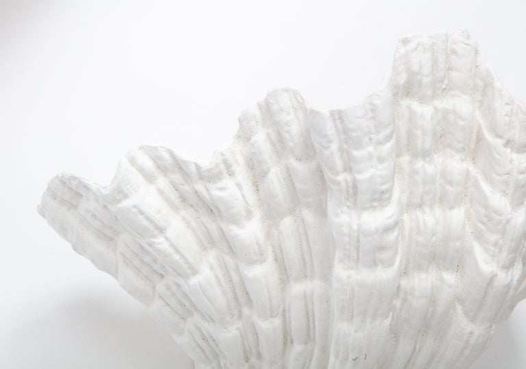 Large Plaster Shell Sconces after Serge Roche, France, 1940s For Sale ...