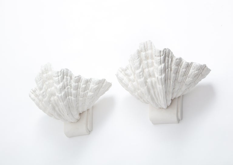 Large Plaster Shell Sconces after Serge Roche, France, 1940s For Sale ...