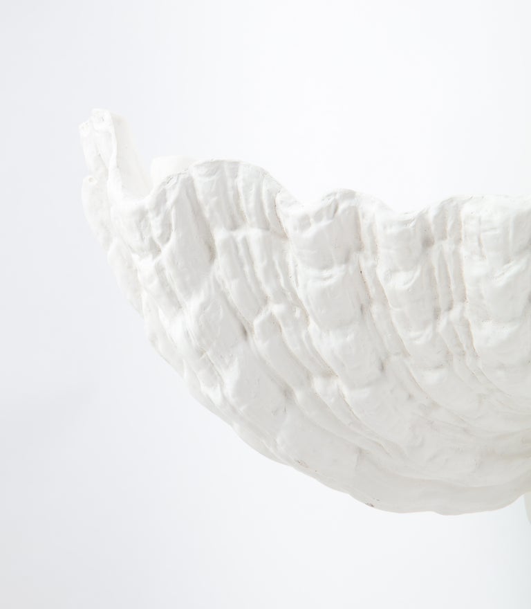 Large Plaster Shell Sconces after Serge Roche, France, 1940s For Sale ...