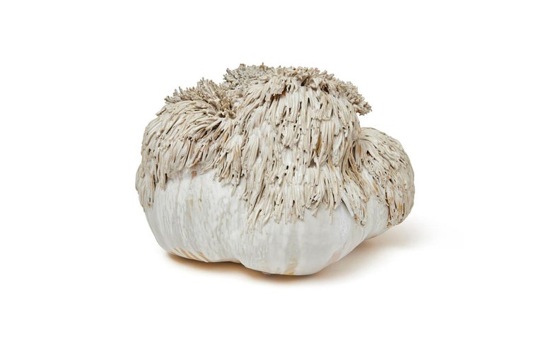 Large Pom Sculpture in Glazed Ceramic by Trish DeMasi For Sale at 1stDibs
