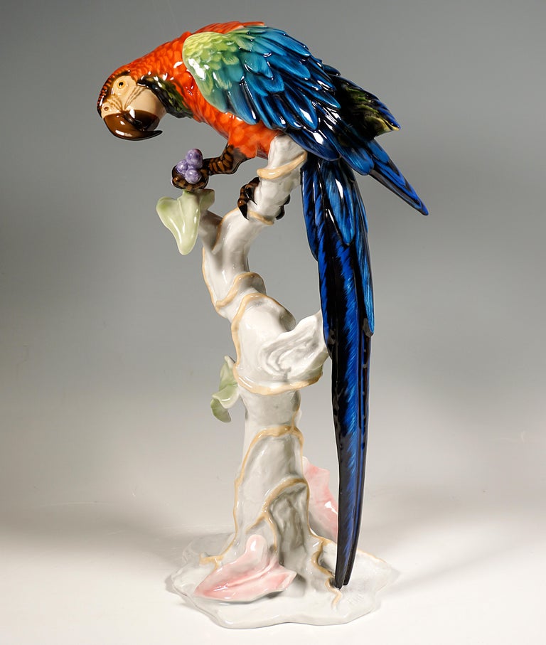 Large Porcelain Animal Figure, Macaw on a Trunk, Rosenthal Germany, Mid ...