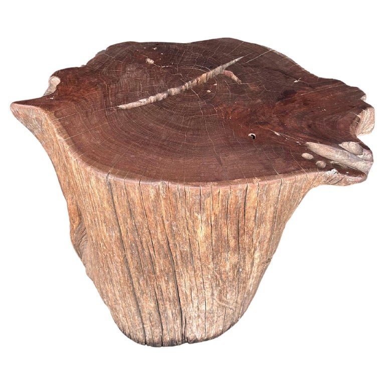 Large Raw Organic Solid Iron Wood Side Table For Sale at 1stDibs
