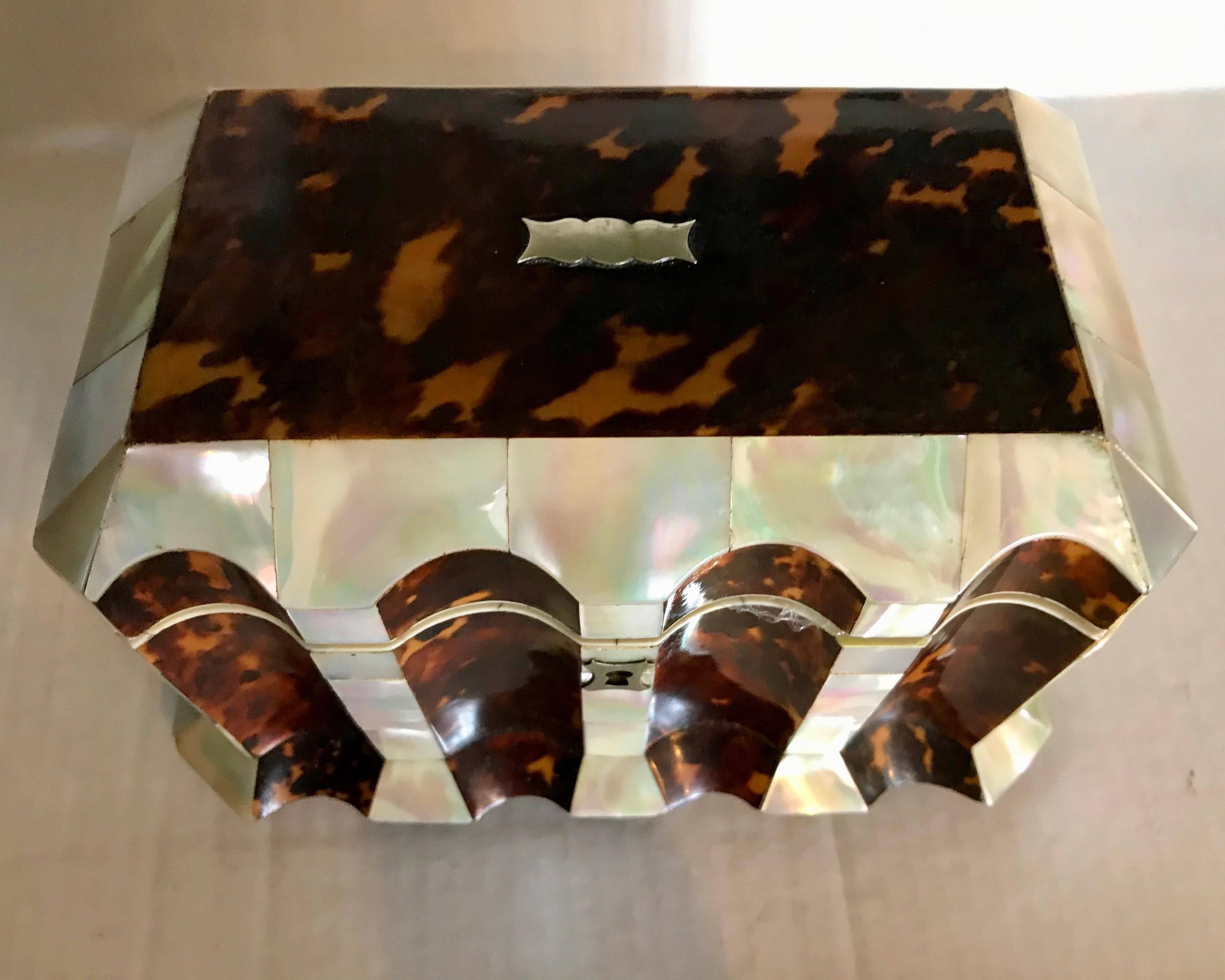 Large Regency Tea Caddy at 1stDibs | large tea caddy