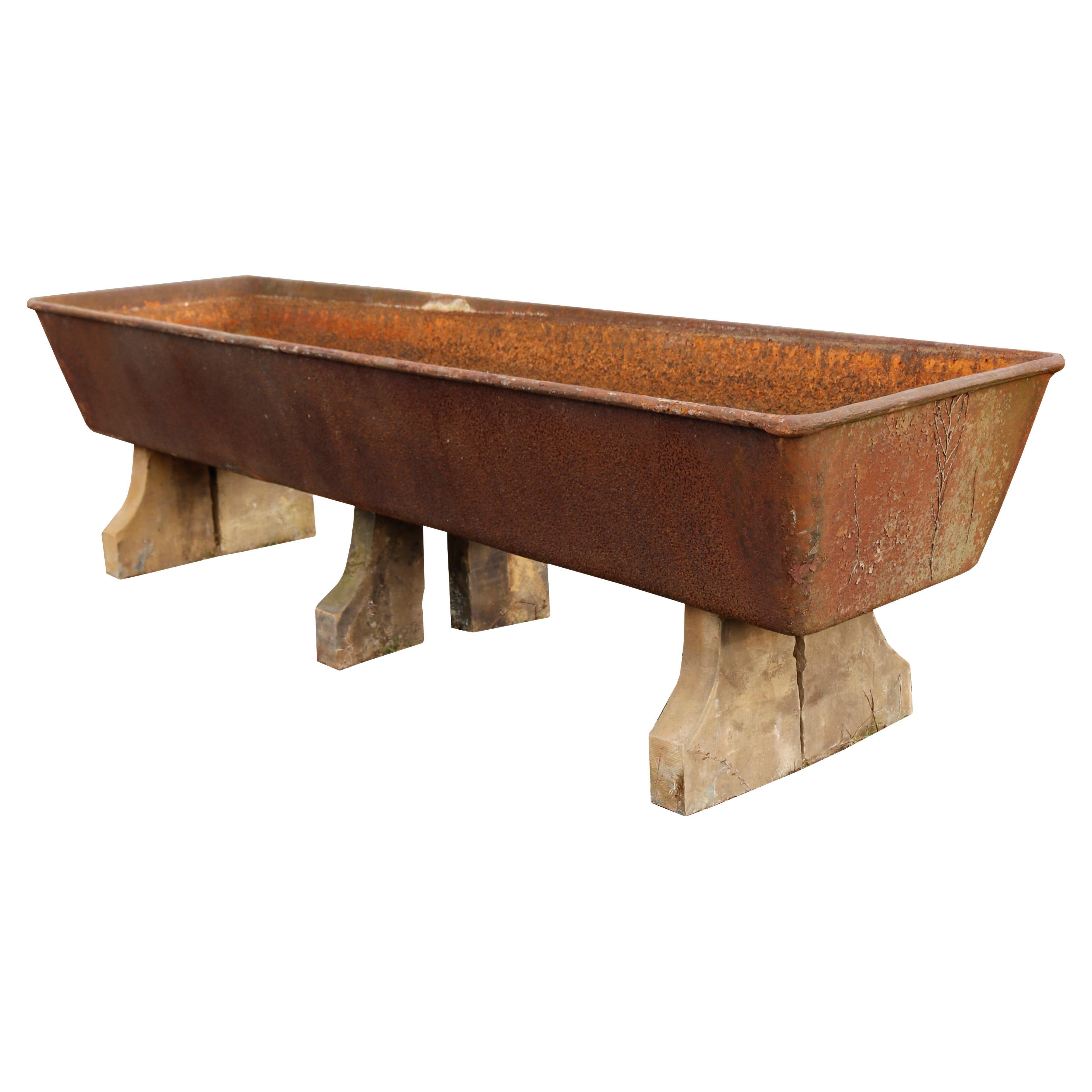 Antique Rectangular Cast Iron Planters, circa 1900 For Sale at 1stDibs
