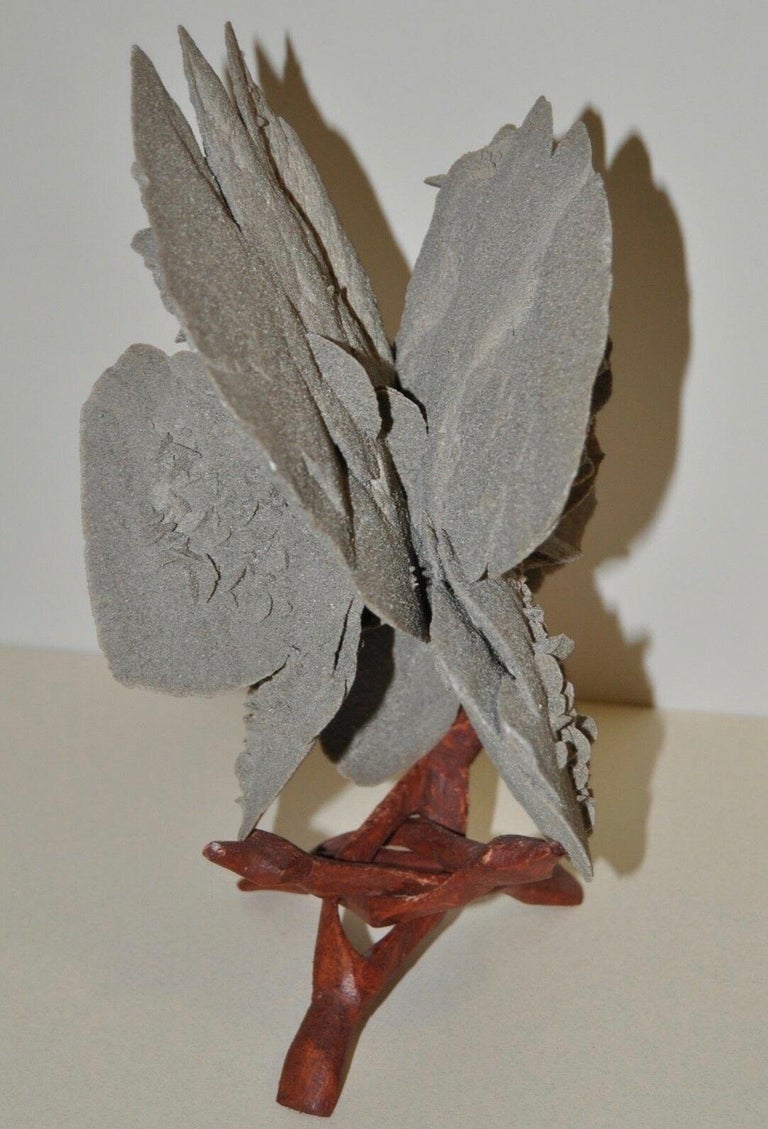 Large Bladed Sand Selenite Crystal Cluster "Butterfly" Specimen for ...