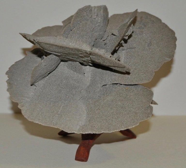 Large Bladed Sand Selenite Crystal Cluster "Butterfly" Specimen for ...