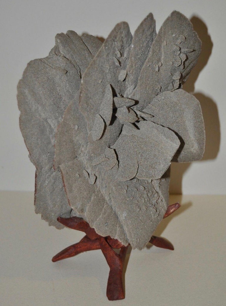 Large Bladed Sand Selenite Crystal Cluster "Butterfly" Specimen for ...
