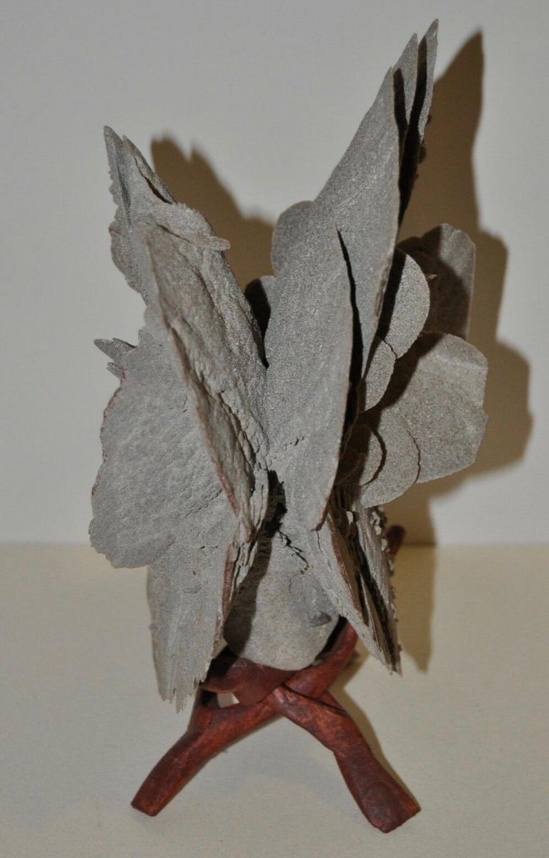 Large Bladed Sand Selenite Crystal Cluster "Butterfly" Specimen for ...