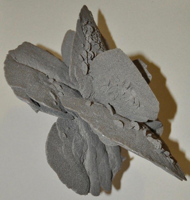 Large Bladed Sand Selenite Crystal Cluster "Butterfly" Specimen for ...