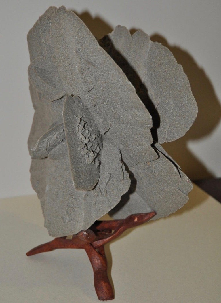 Large Bladed Sand Selenite Crystal Cluster "Butterfly" Specimen for ...