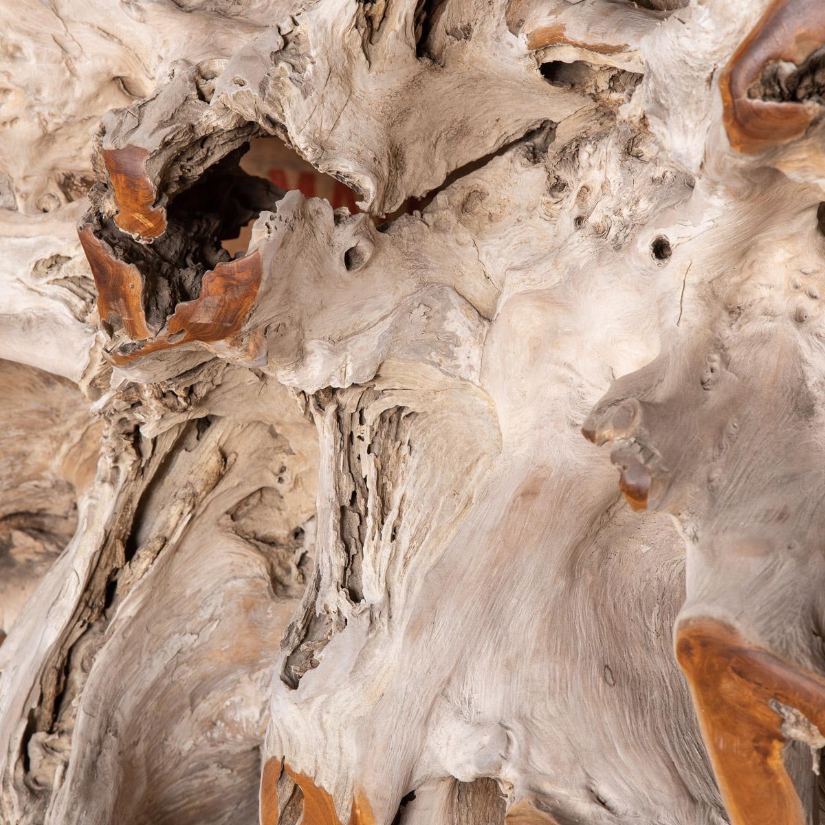 Large Sculpture from a Teak Root at 1stDibs