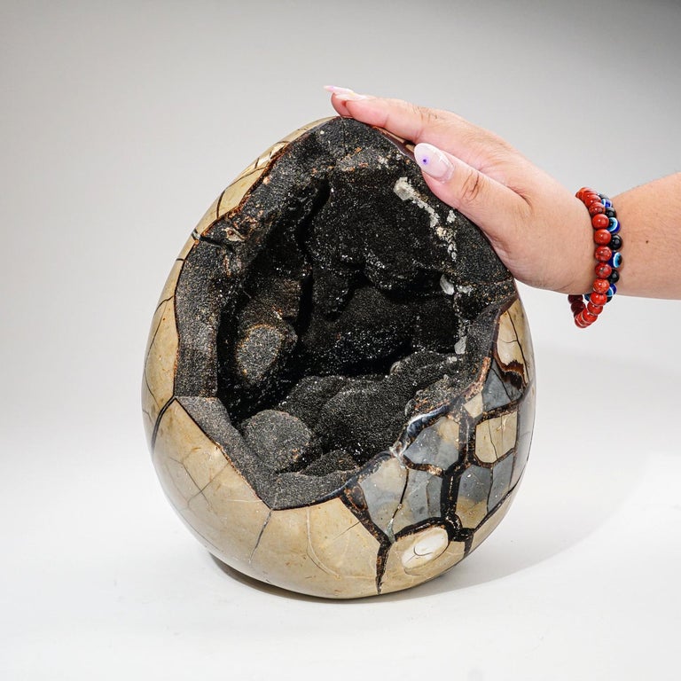 Large Septarian Druzy Geode Egg from Madagascar '22.4 Lbs' For Sale at ...
