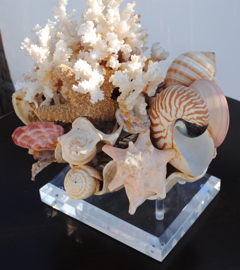 Large Shell Arrangement on Lucite Stand Centrepiece For Sale at 1stDibs