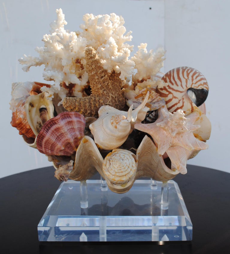 Large Shell Arrangement on Lucite Stand Centrepiece For Sale at 1stDibs
