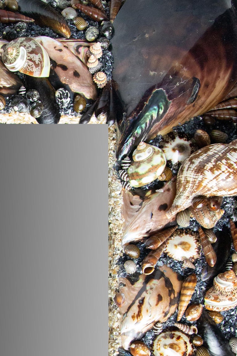 Large Shell Mirror at 1stDibs