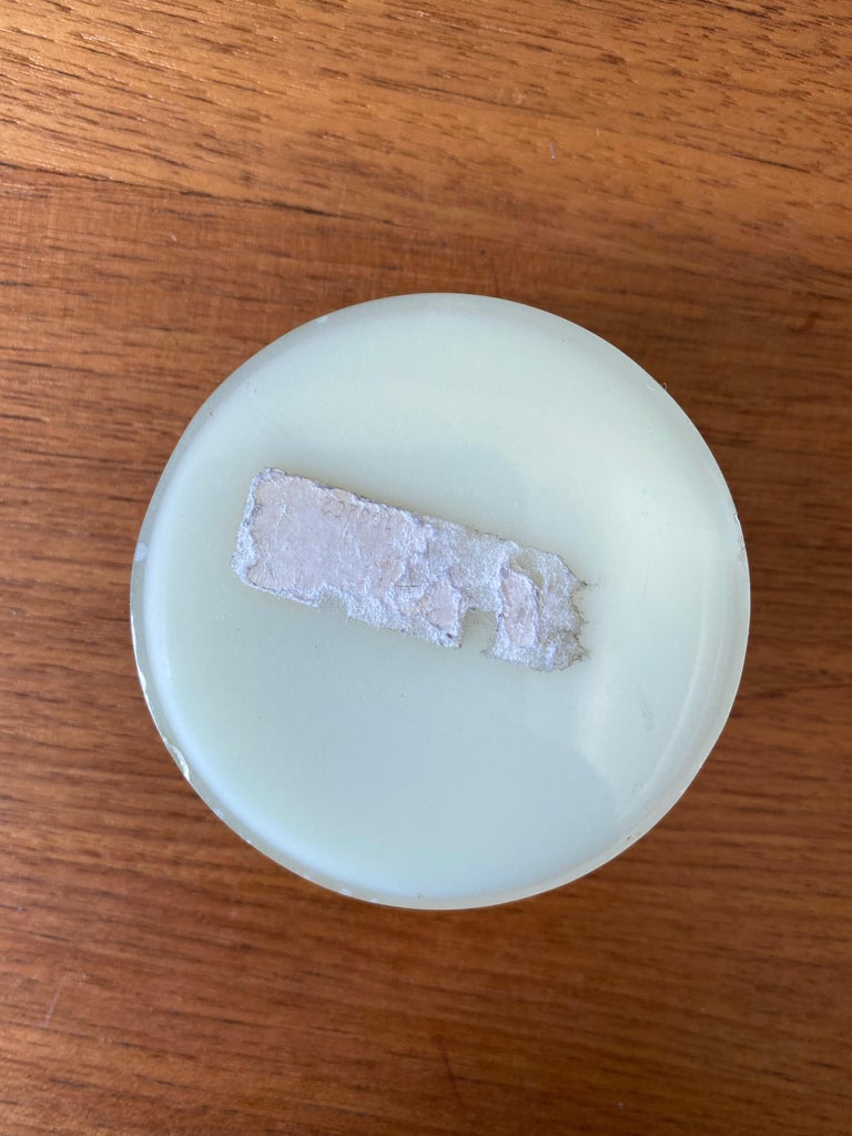 Large Spider Paperweight in Resin Dome at 1stDibs | tarantula paperweight