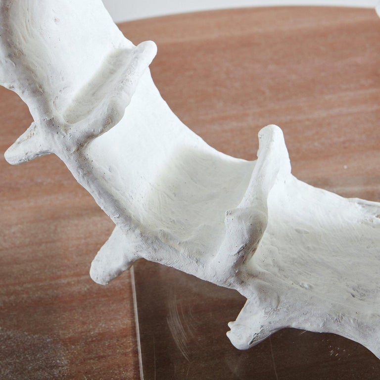 Large Tab Ring by Erin Vincent For Sale at 1stDibs