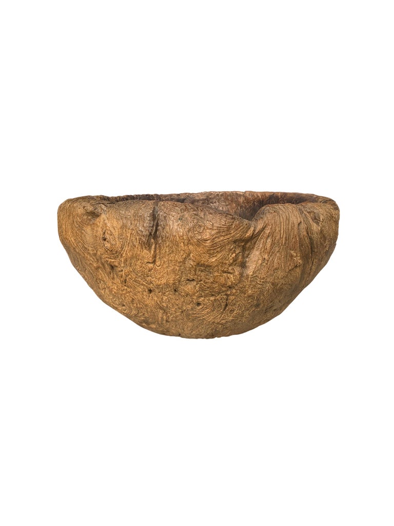 Large Teak Burl Wood Bowl from Java, Indonesia, c. 1950 For Sale at 1stDibs