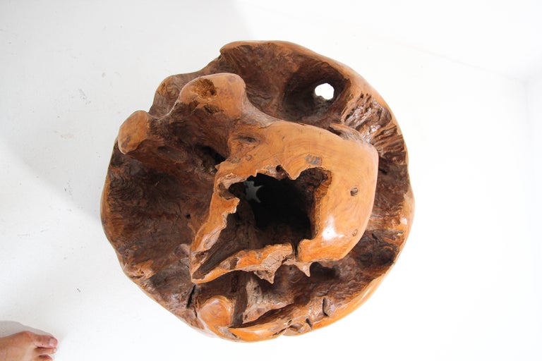 Large Teak Wood Root Hand-Carved Organic Sculpture Sphere For Sale at ...