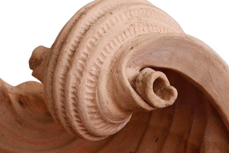 Large Terracotta Shell Basin at 1stDibs