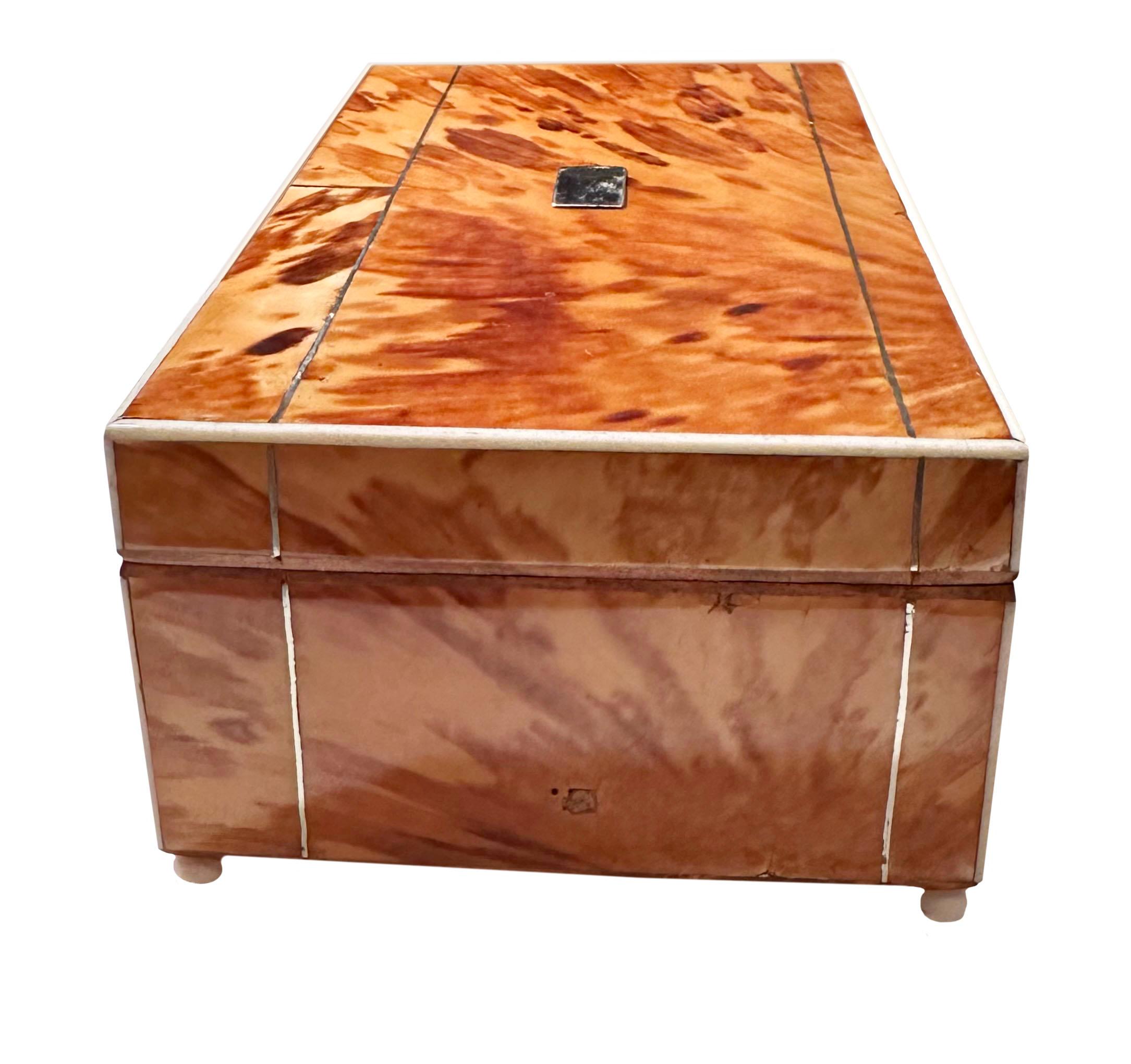 Large Tortoiseshell, Ivory and Silver Box For Sale at 1stDibs