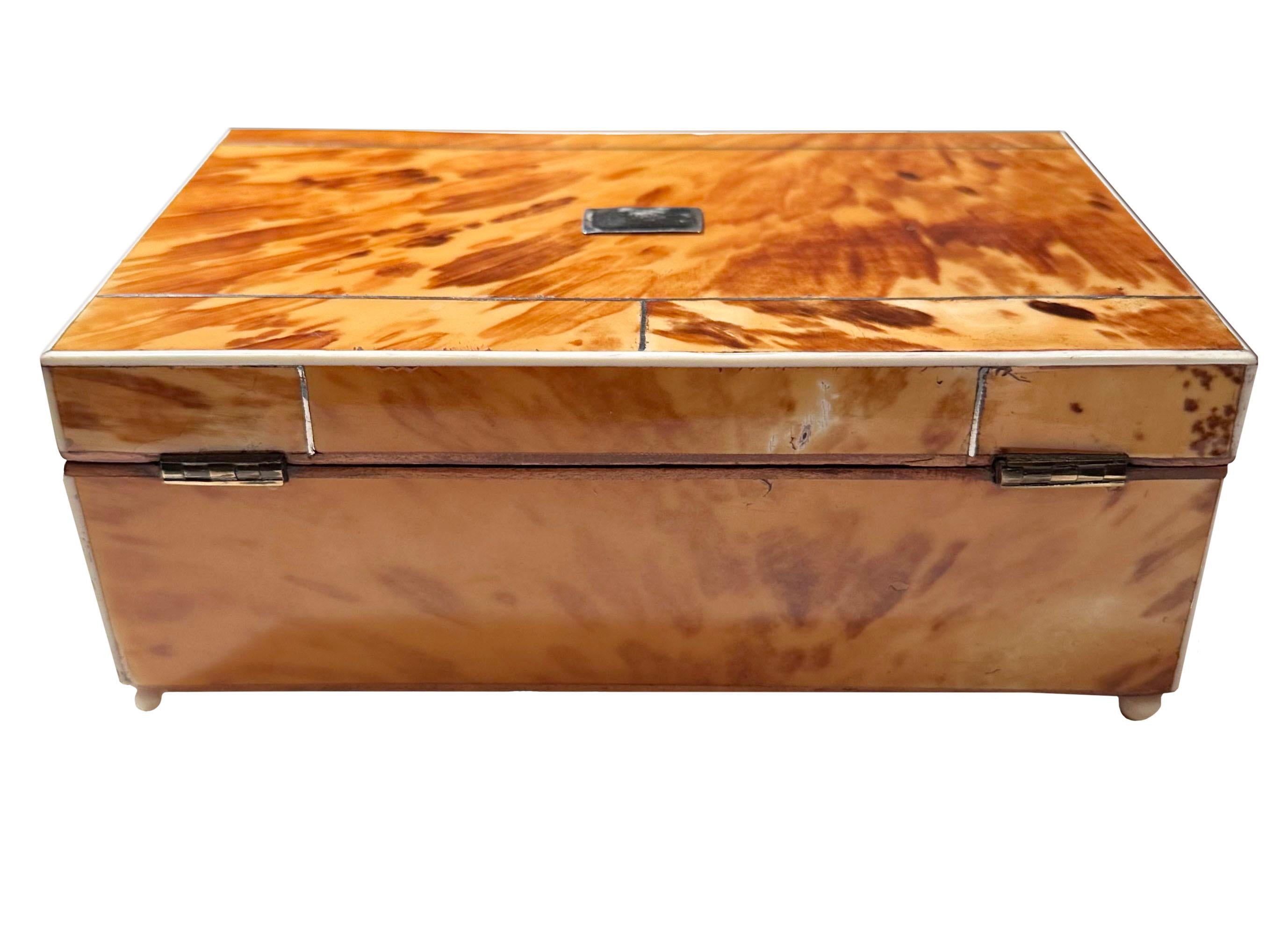 Large Tortoiseshell, Ivory and Silver Box For Sale at 1stDibs