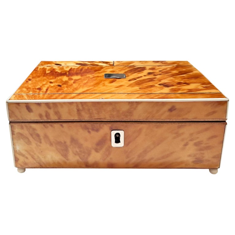 Large Tortoiseshell, Ivory and Silver Box For Sale at 1stDibs