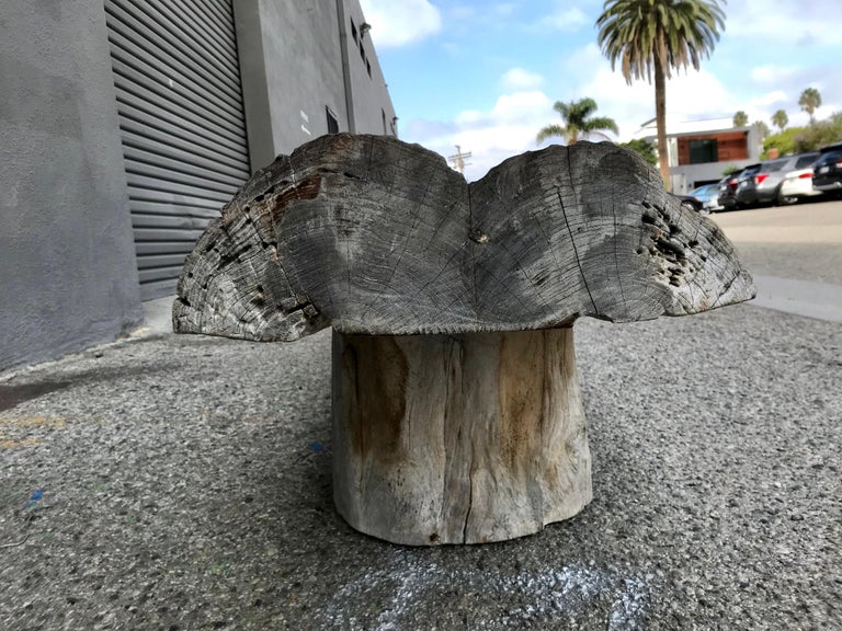 Large Undulating Top Wabi Sabi Wood Bench at 1stDibs