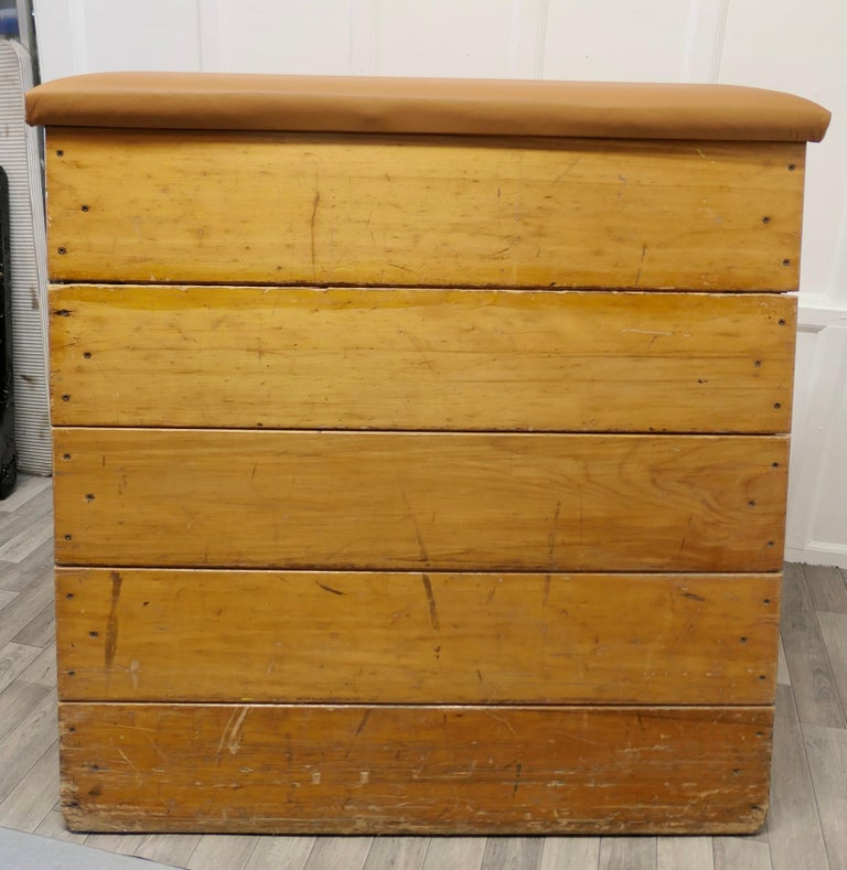 Large Vintage 5 Section Heavy Pine Vaulting Box For Sale at 1stDibs