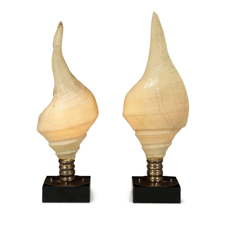 Large Vintage Conch Shell Lamps For Sale at 1stDibs