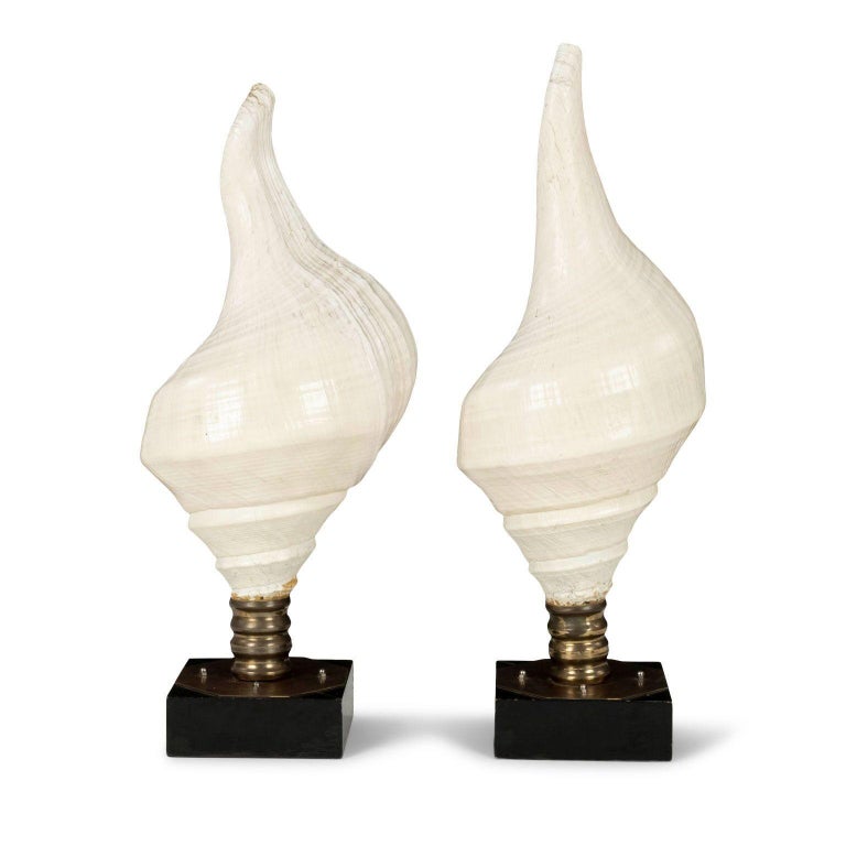 Large Vintage Conch Shell Lamps For Sale at 1stDibs