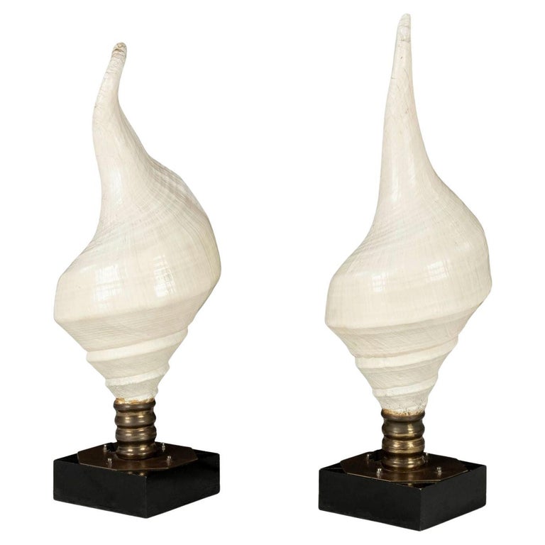 Large Vintage Conch Shell Lamps For Sale at 1stDibs